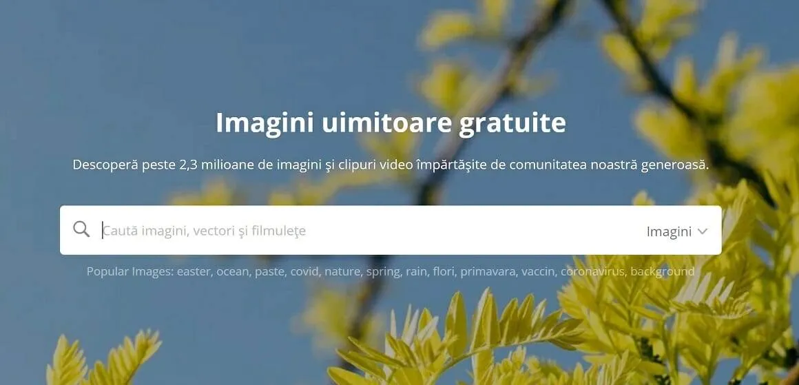 Poze de instagram - Cele mai recomandate surse de imagini - RevistaOMF